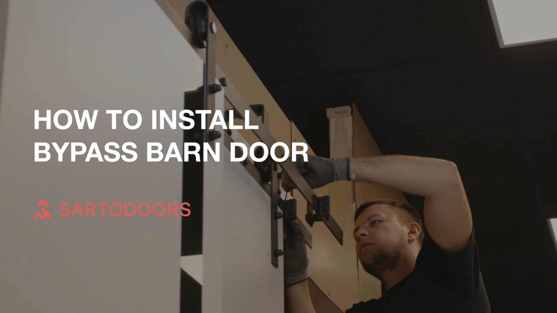 Barn Bypass Doors | Planum 0014 Natural Veneer with | Sturdy 6.6ft, 36 ...