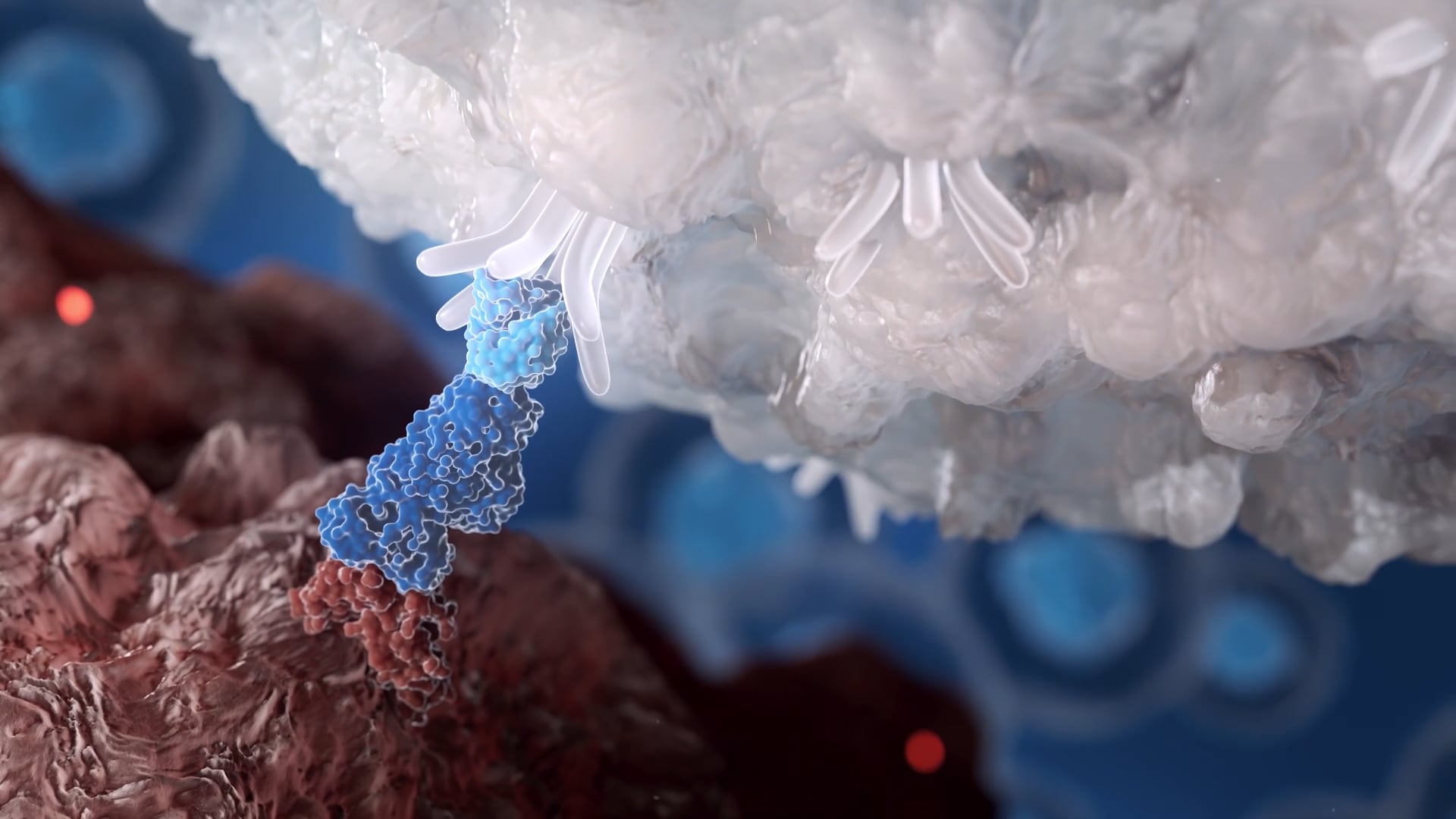 Immunocore - ImmTAX MoA