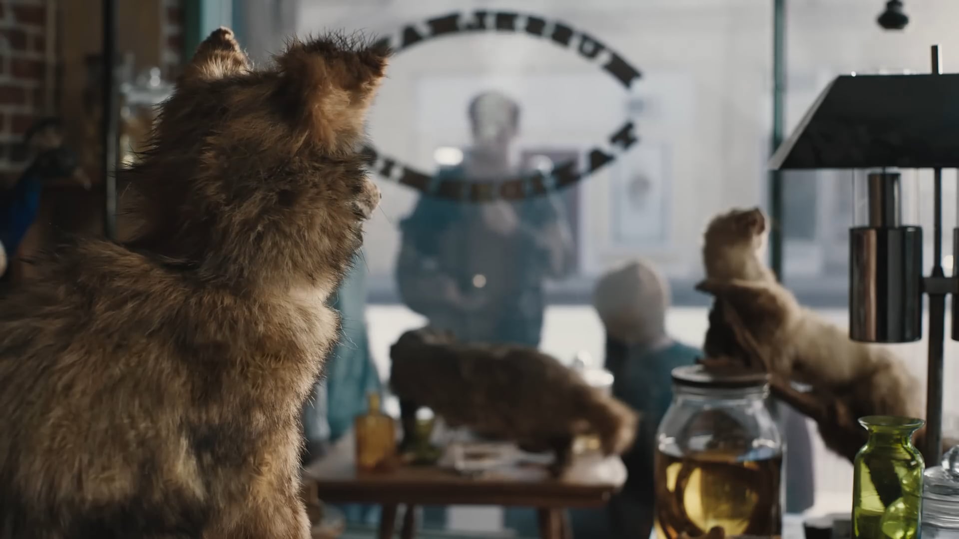Formaldehyde- The toxic link between vaping and taxidermy The Real Cost ...
