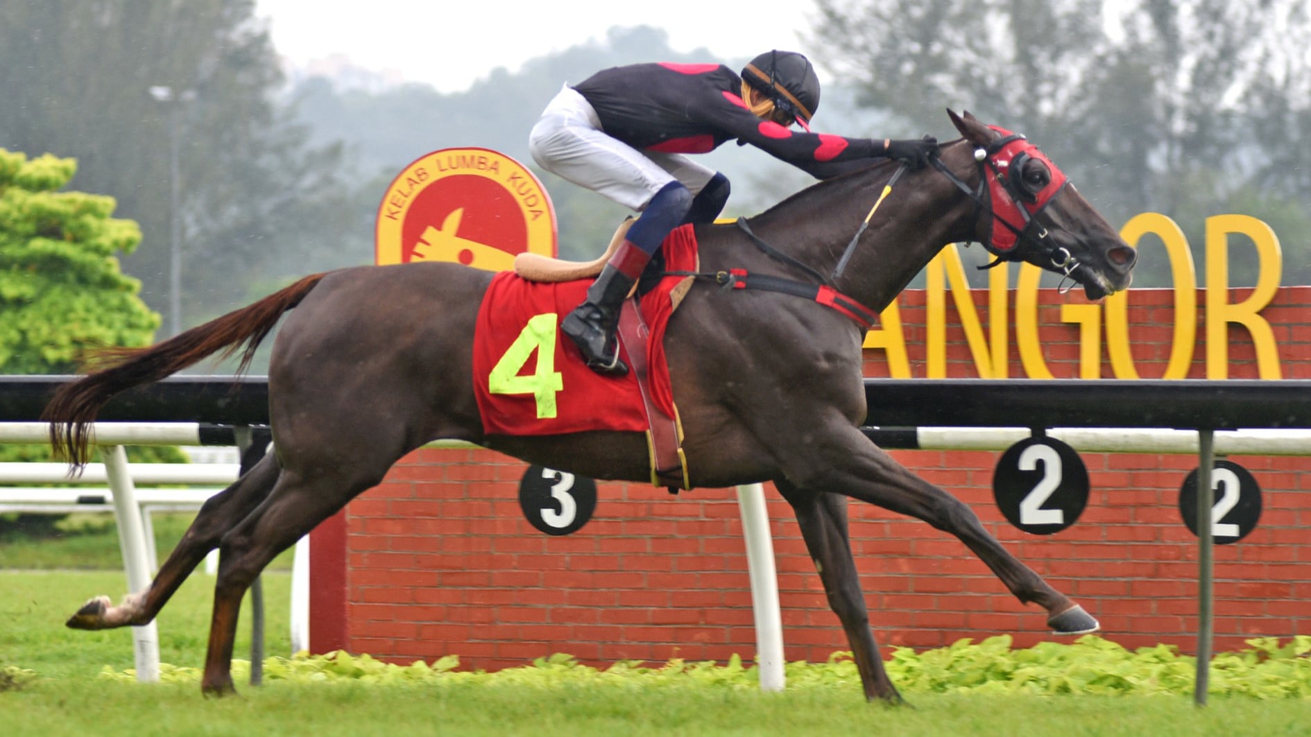 Inglis Digital Horse Of The Year - GOLDEN PEGASUS - JULY 2024 on Vimeo