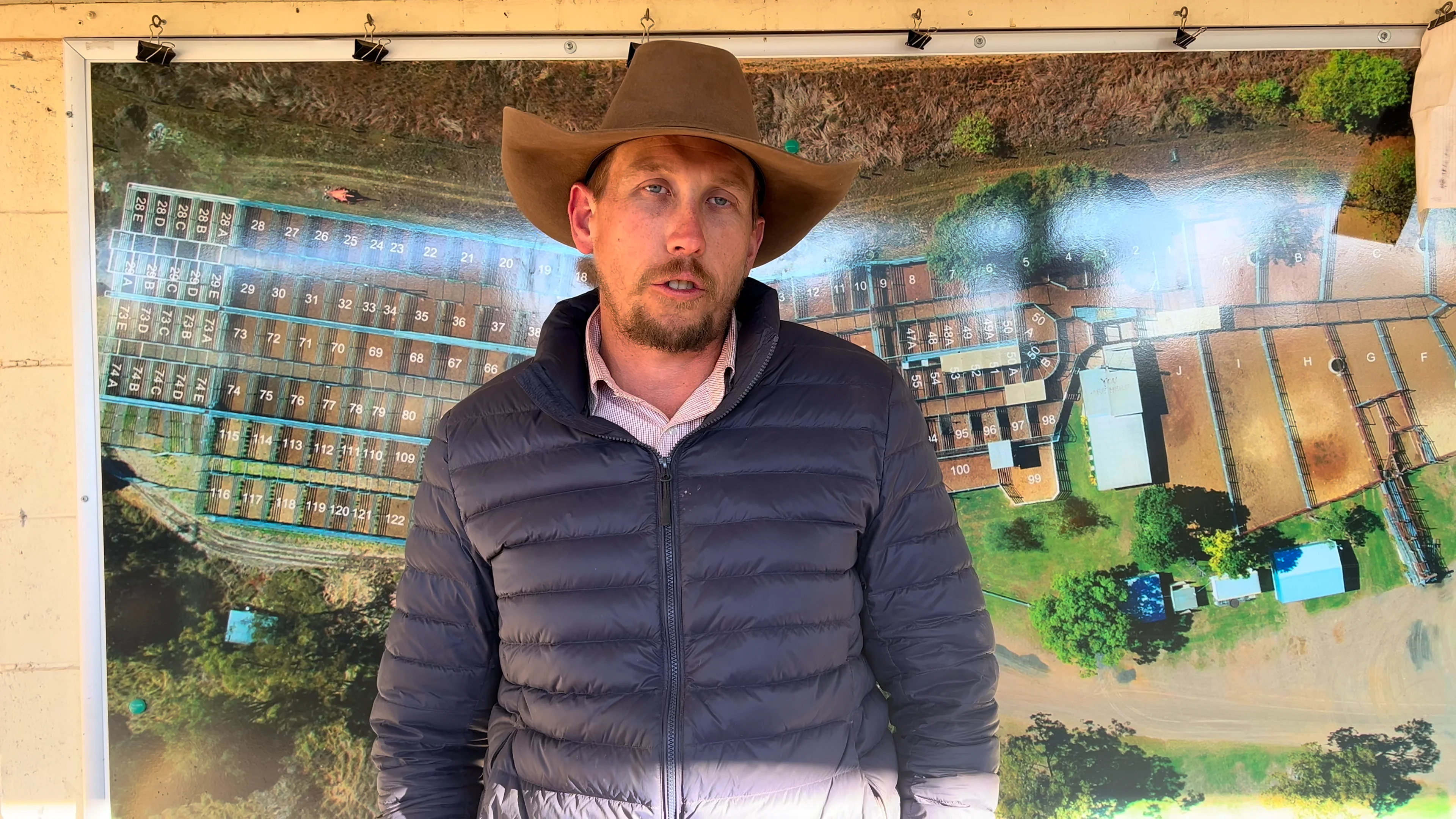 Monto Feeder Sale Wrap Up with Andrew Cavanagh on Vimeo