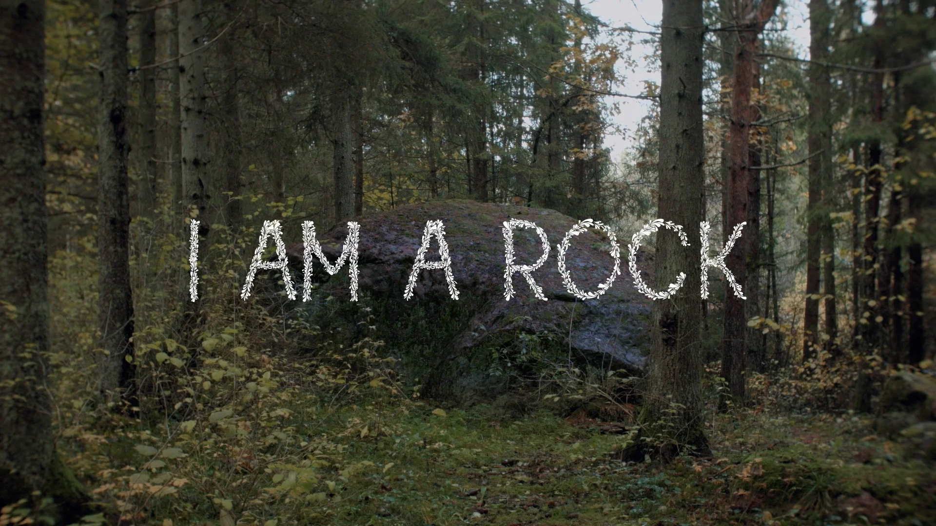 I Am a Rock (2024)