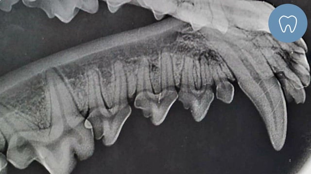 Centralcpd on-demand