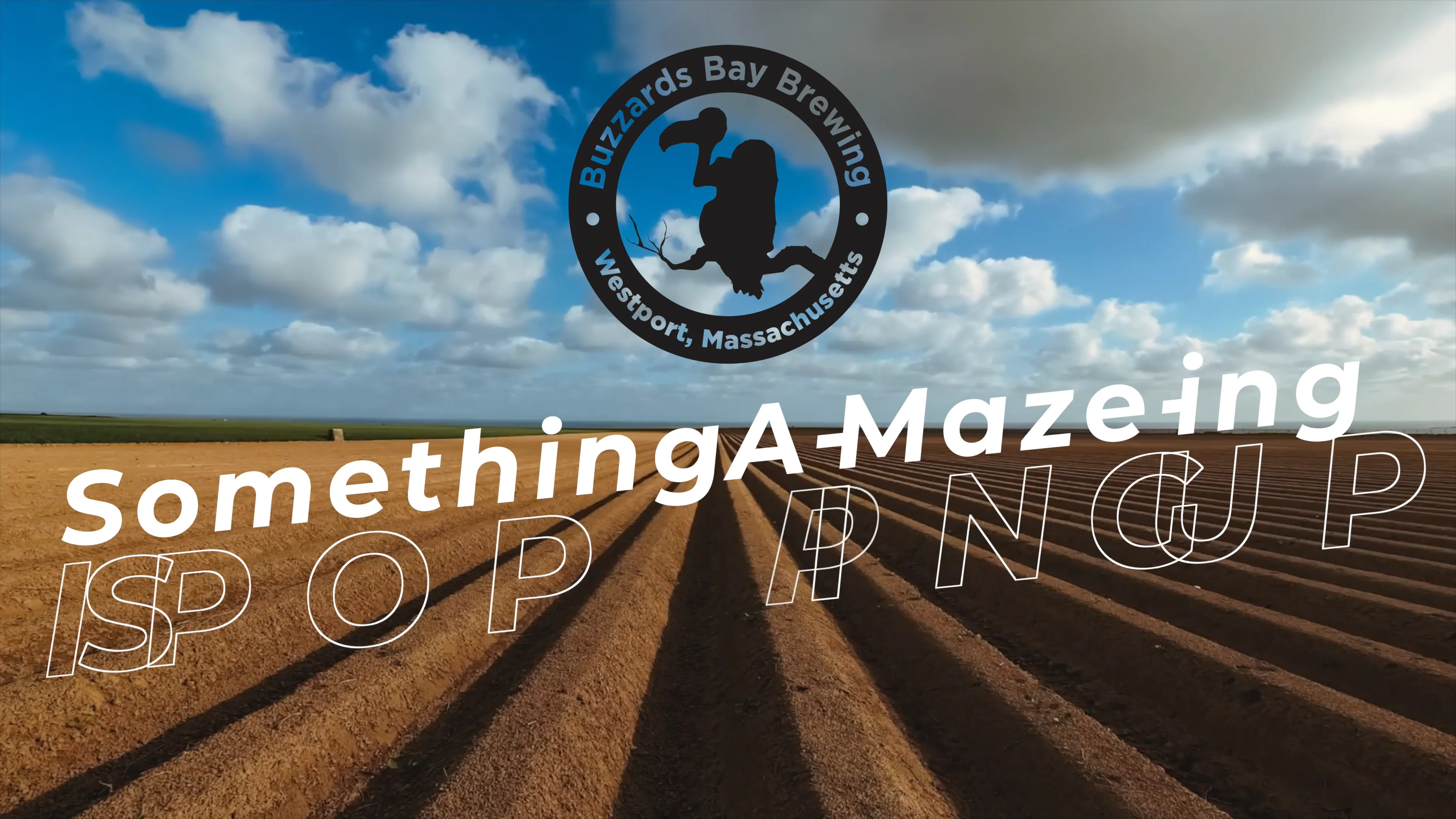 Buzzards Bay Brewing - Something A-Maze-ing is Popping Up