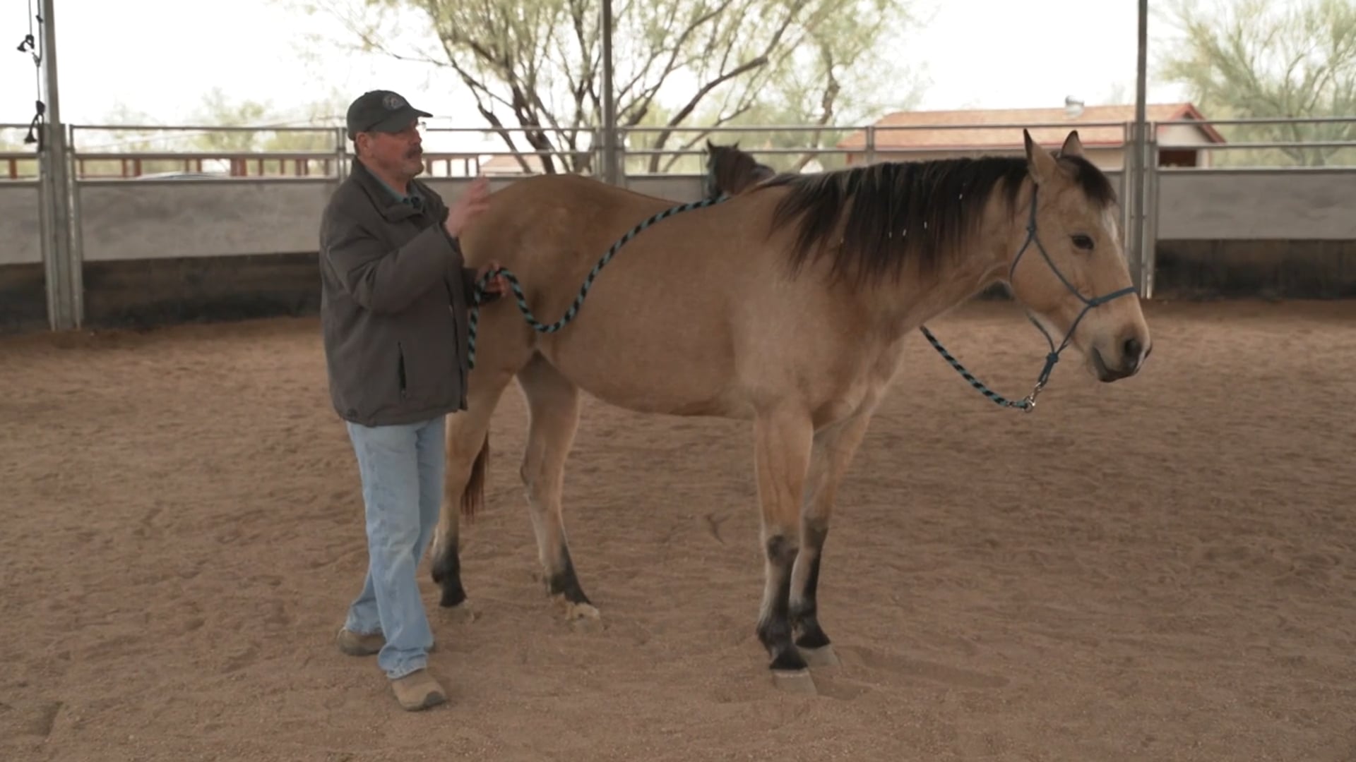 Hind End Points | Ridely