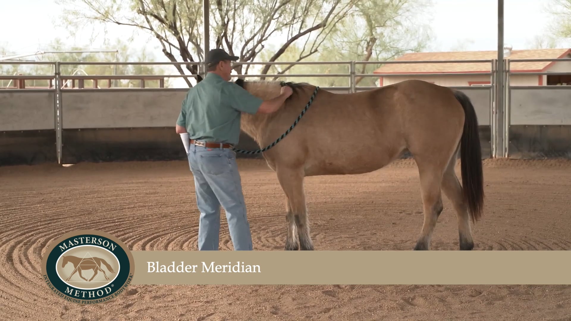 The Bladder Meridian | Ridely