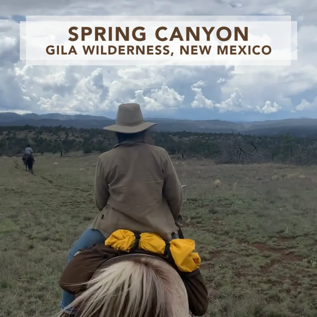 Spring Canyon, Gila Wilderness site visit on Vimeo