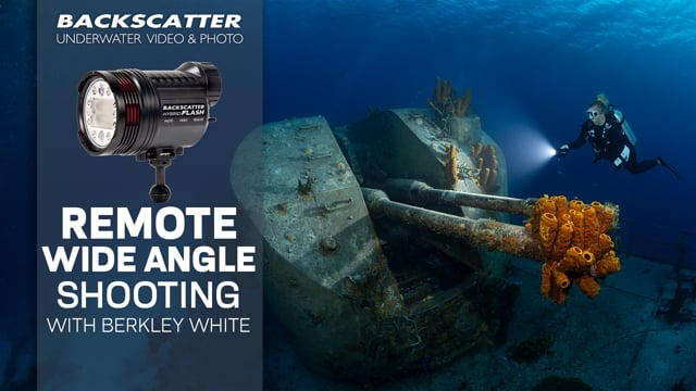 Videos - Backscatter