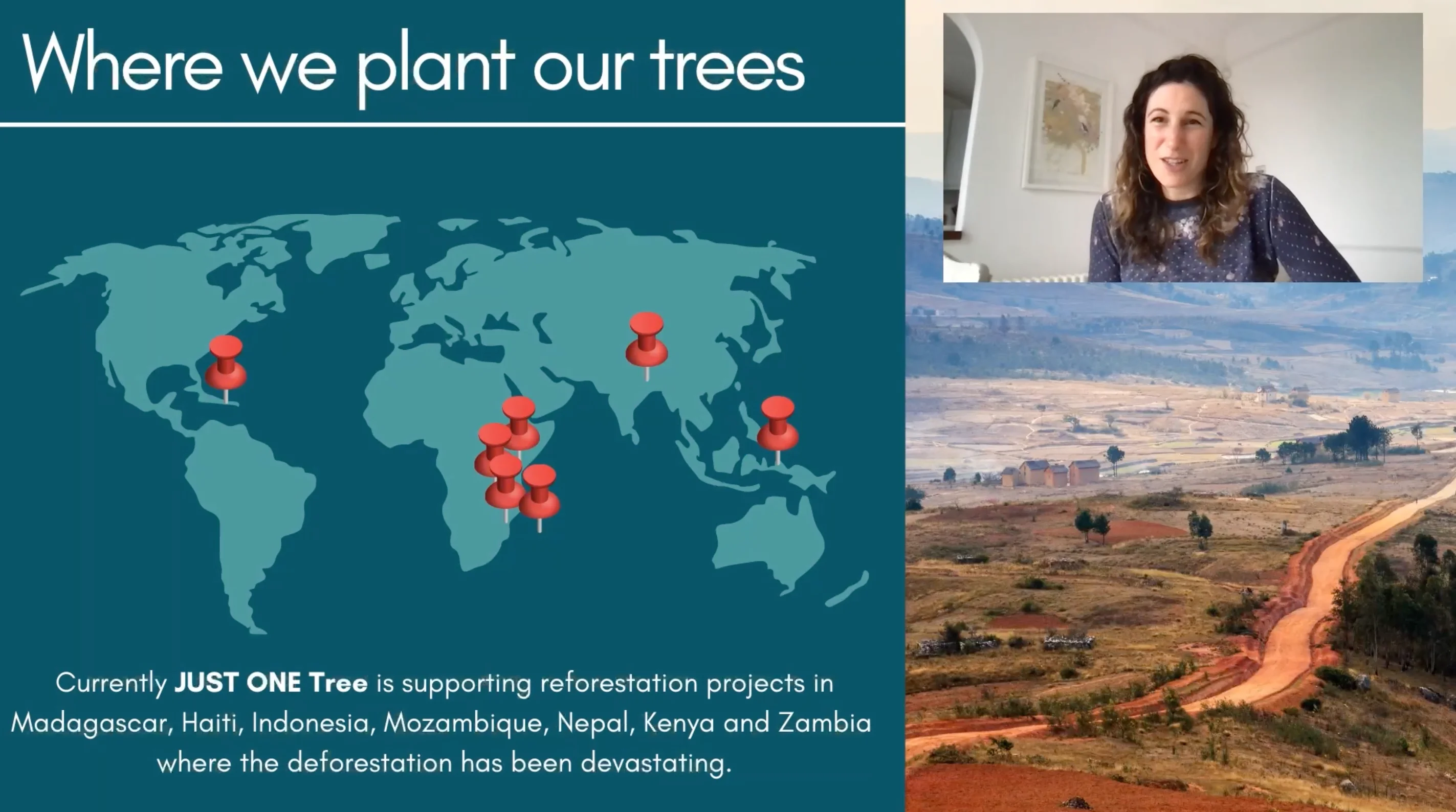 JUST ONE Tree - Secondary School video