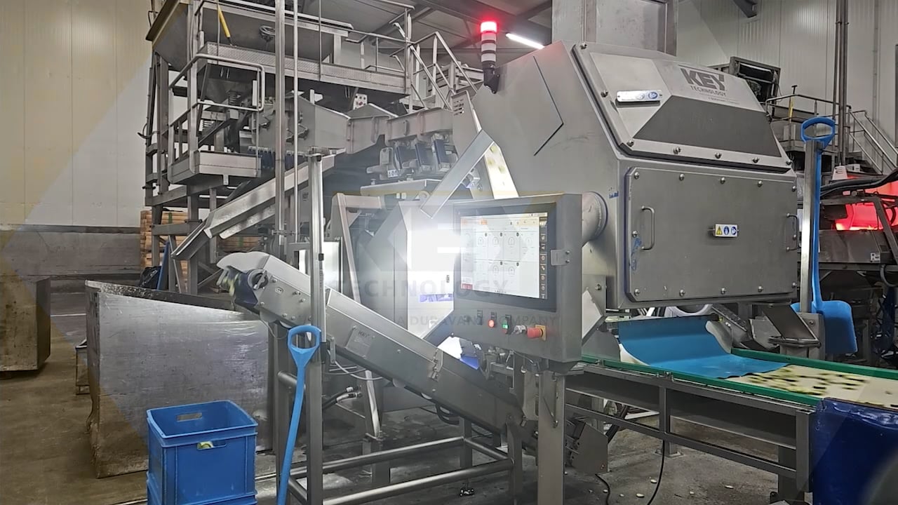 Food Optical Sorting Machine - Food Safe Optical Sorter | Key Technology