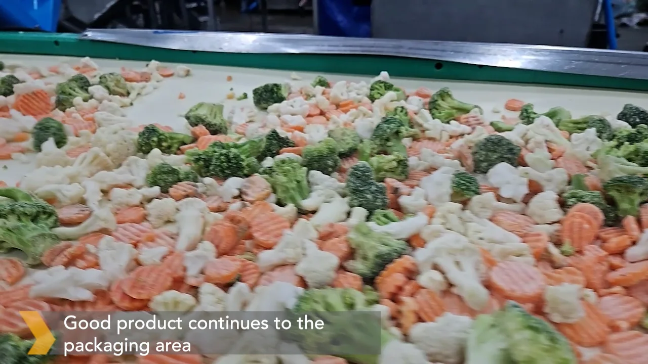 COMPASS Optical Sorter on IQF Kaiser Mix / Mixed Vegetables