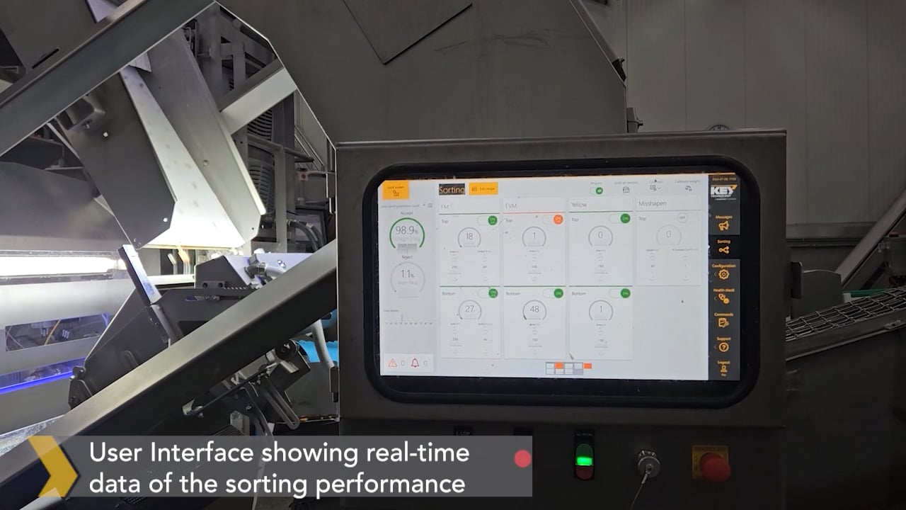 Food Optical Sorting Machine - Food Safe Optical Sorter | Key Technology