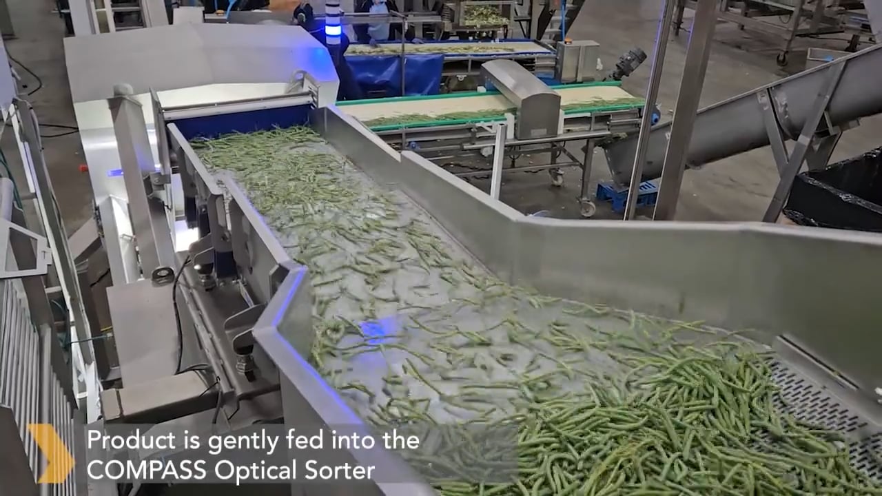 Food Optical Sorting Machine - Food Safe Optical Sorter | Key Technology