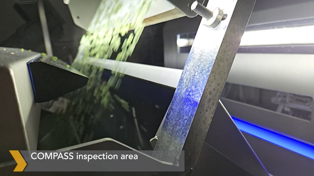 Food Optical Sorting Machine - Food Safe Optical Sorter | Key Technology