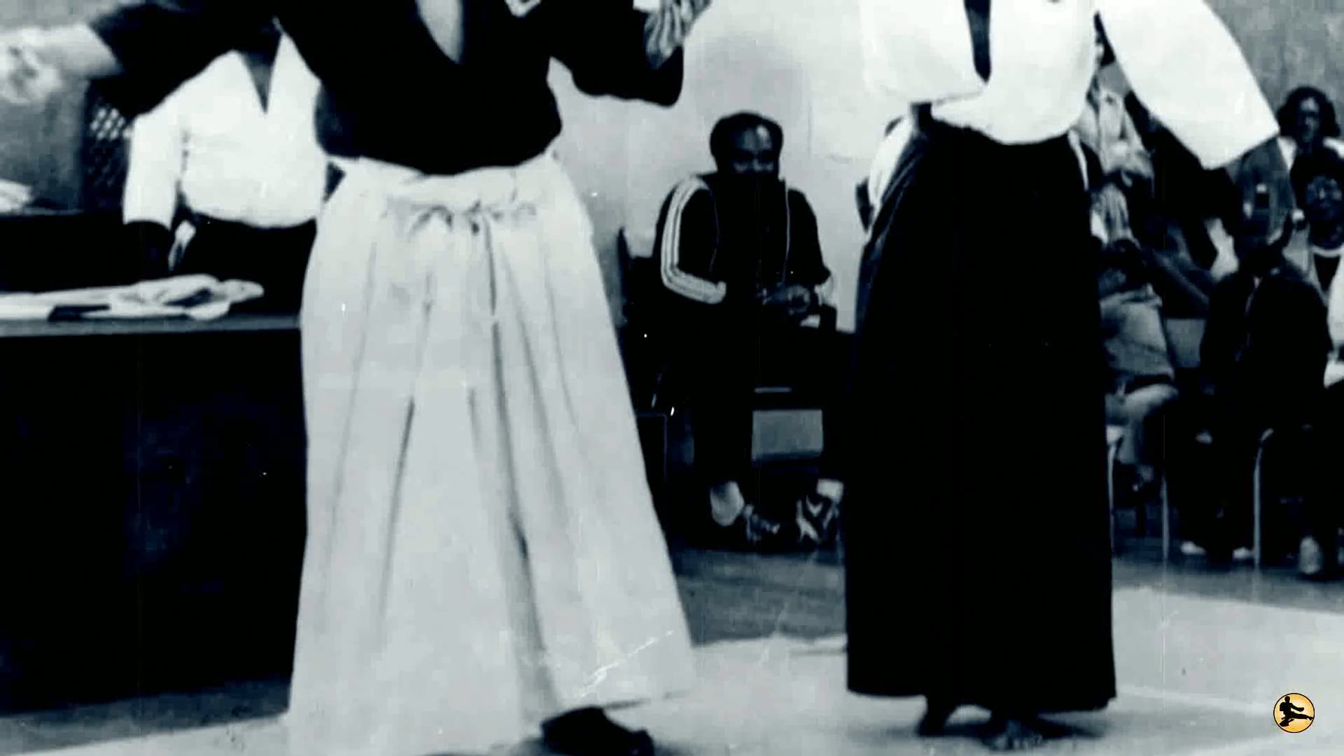 Sanuces Ryu Jiujitsu Legacy Patches