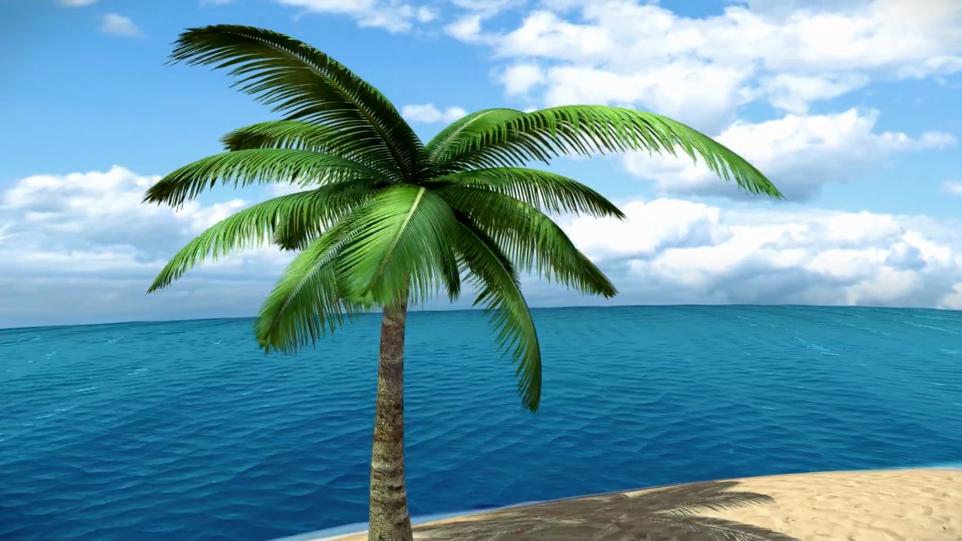 Expert Film Production Services | Palm Tree Sales