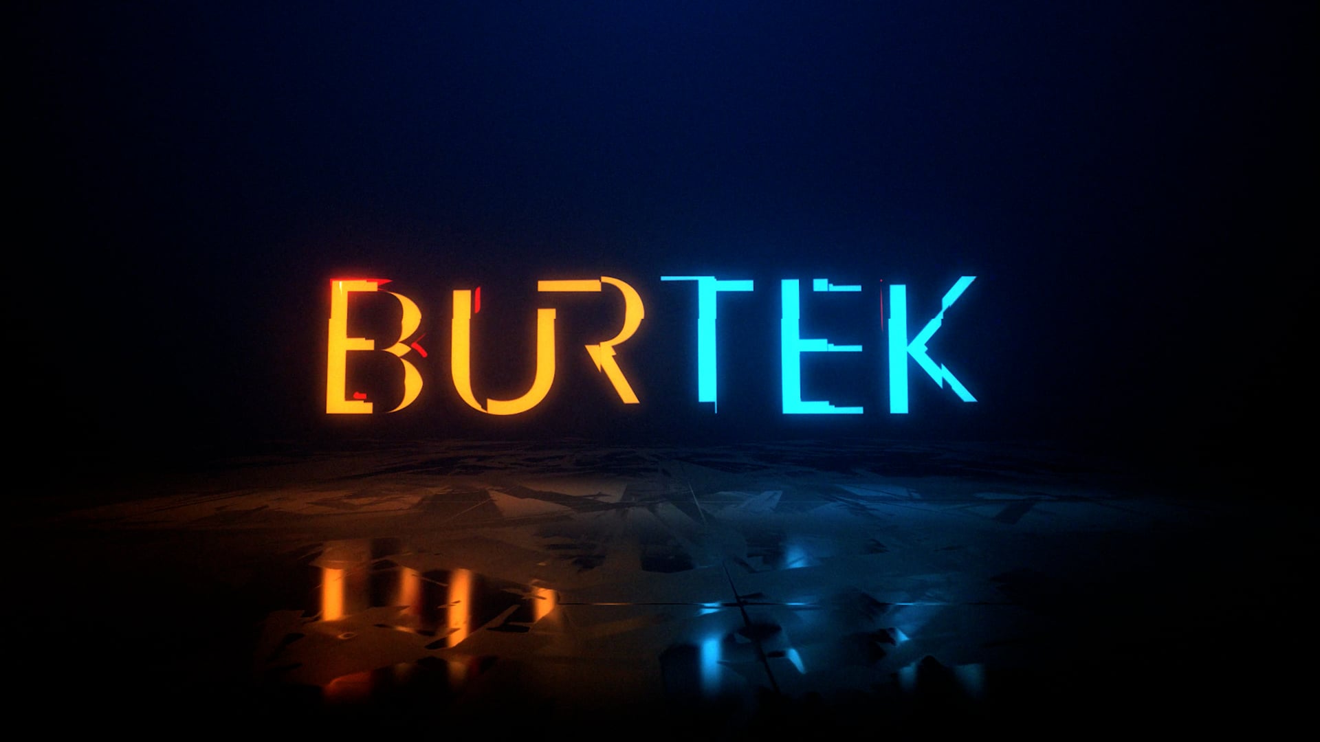 BURTEK Services