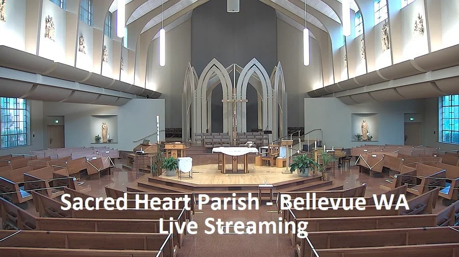 Mass - Streamed Live