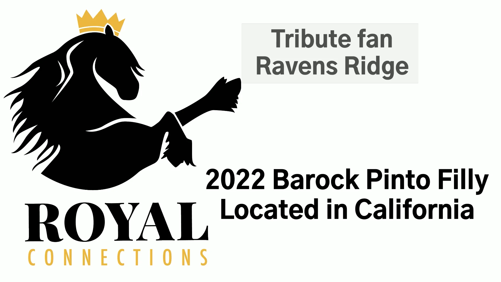 Tribute fan Ravens Ridge on Vimeo