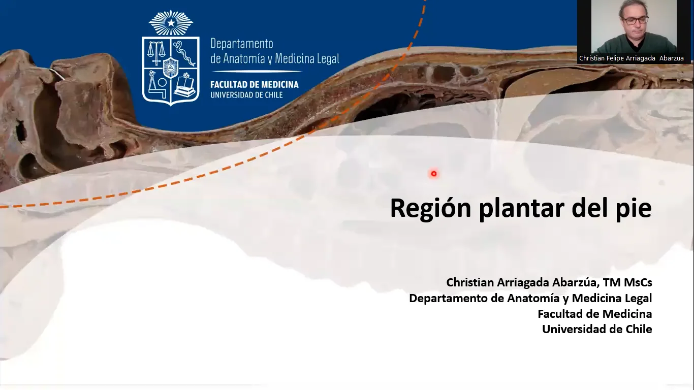 región plantar on Vimeo