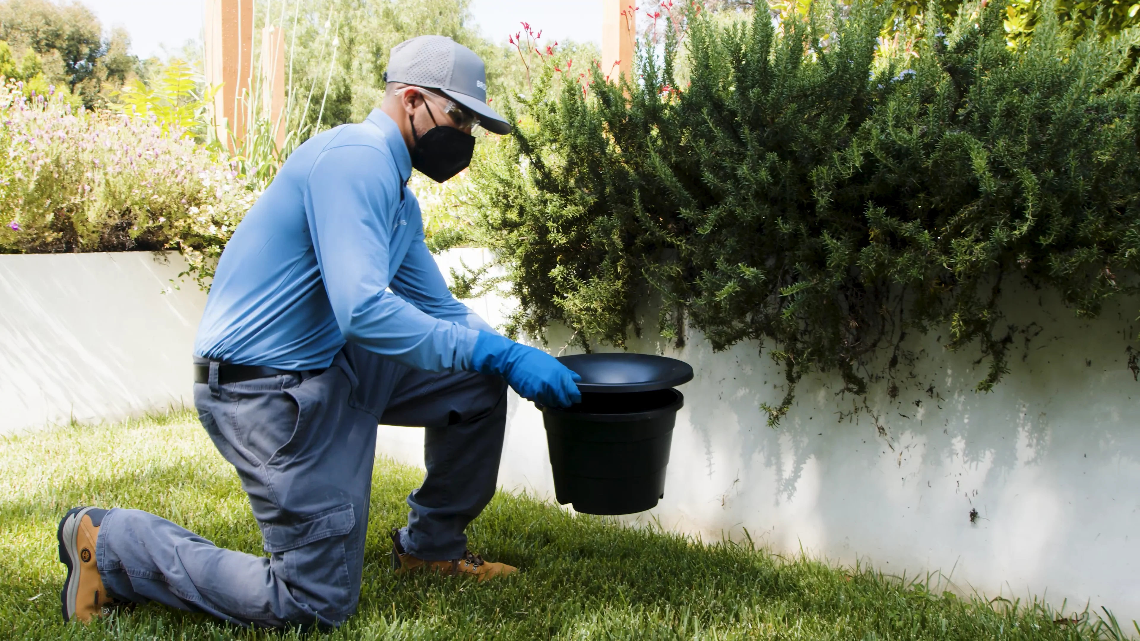 Brooks Pest Control: Training Video 2 (Mosquito)