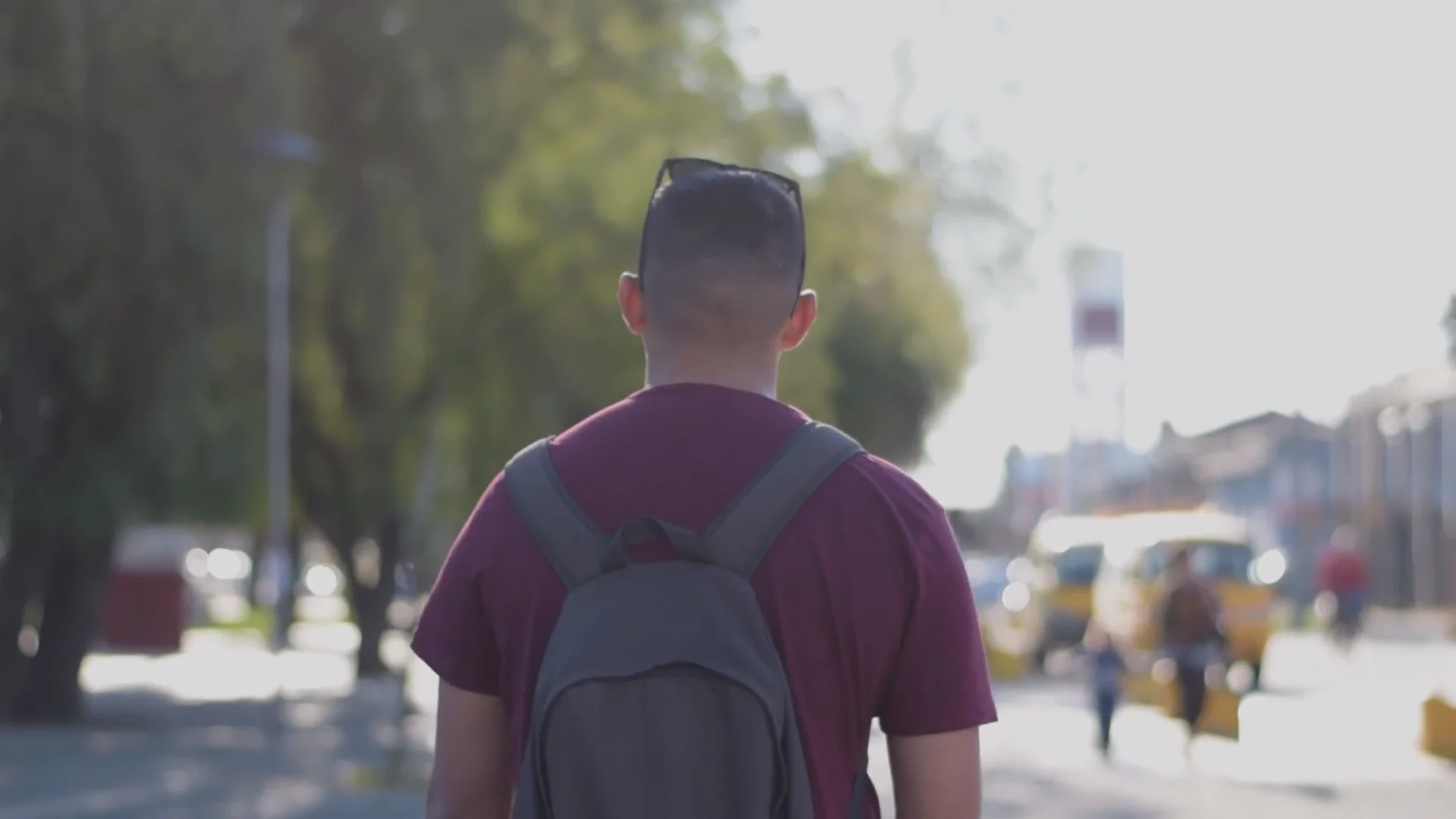 CMS Summer School 2025 Teaser