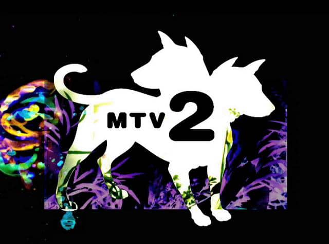 MTV2 ID -HEART on Vimeo