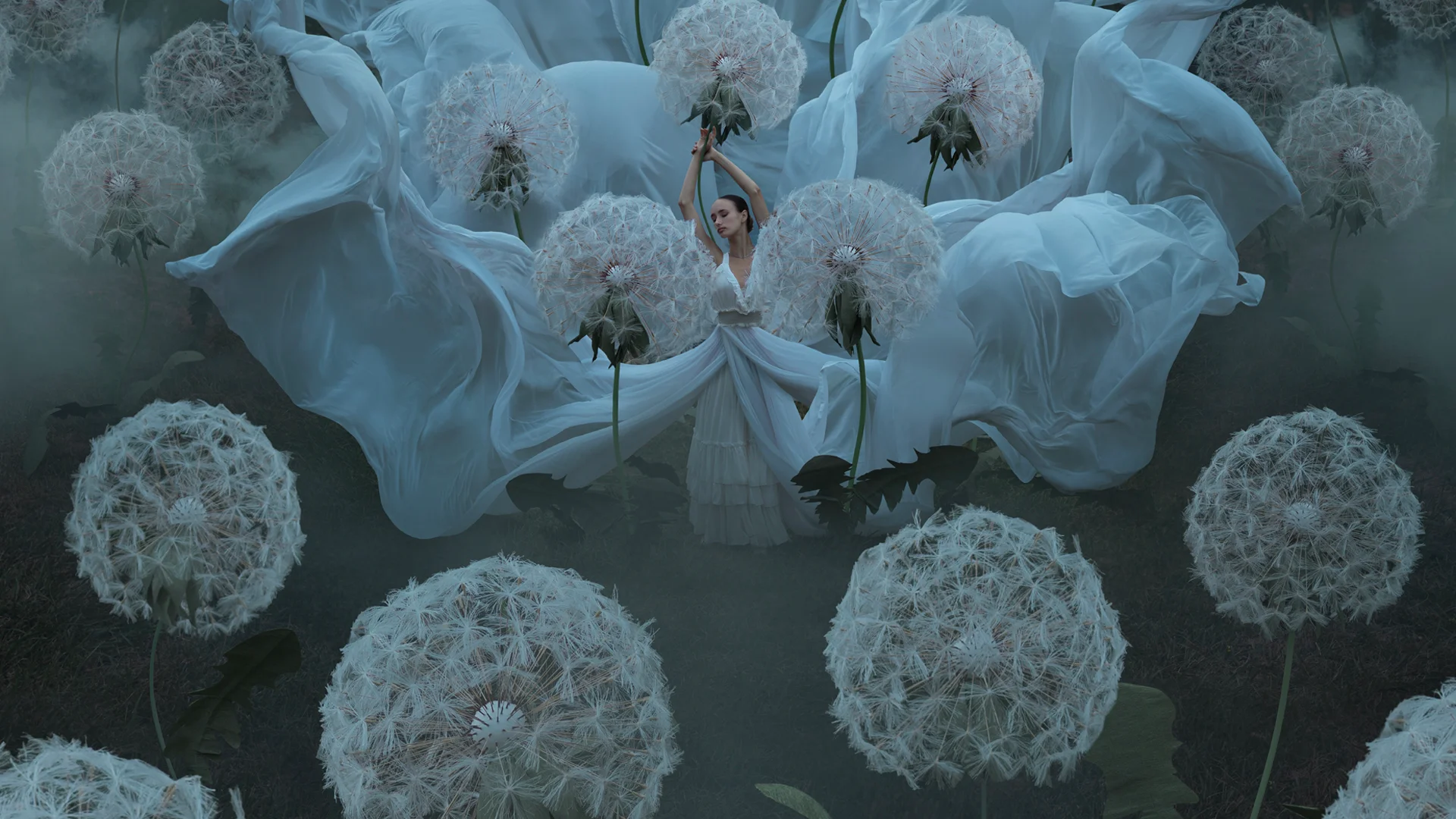 Cover video on Vimeo