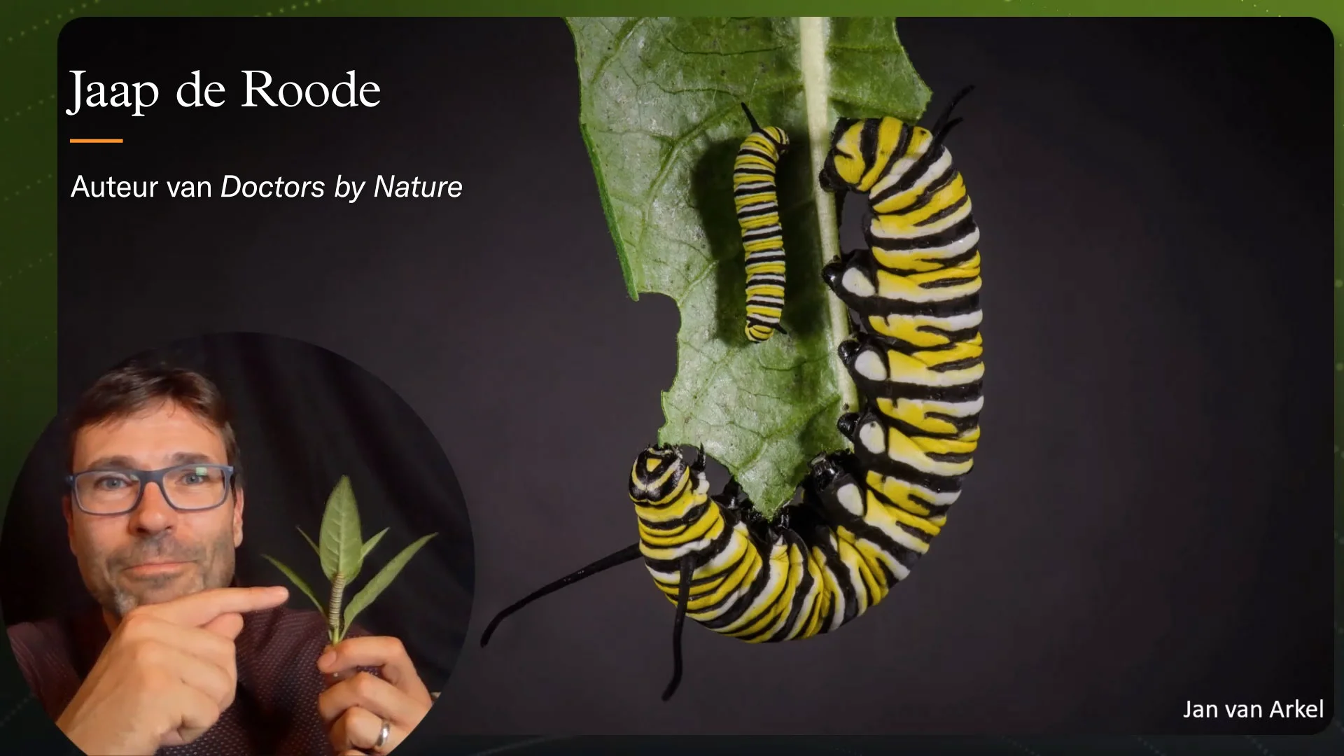 Frankfurt Rights Guide 2024 - Jaap de Roode, author of Doctors by ...