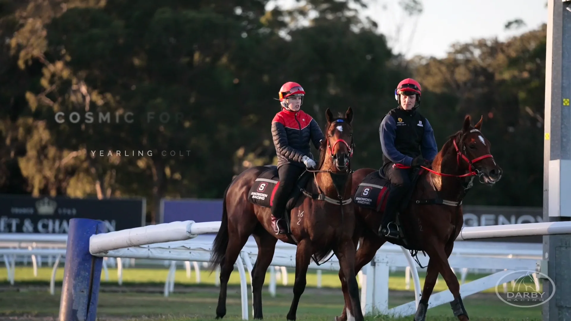 COSMIC FORCE - New Promo MH