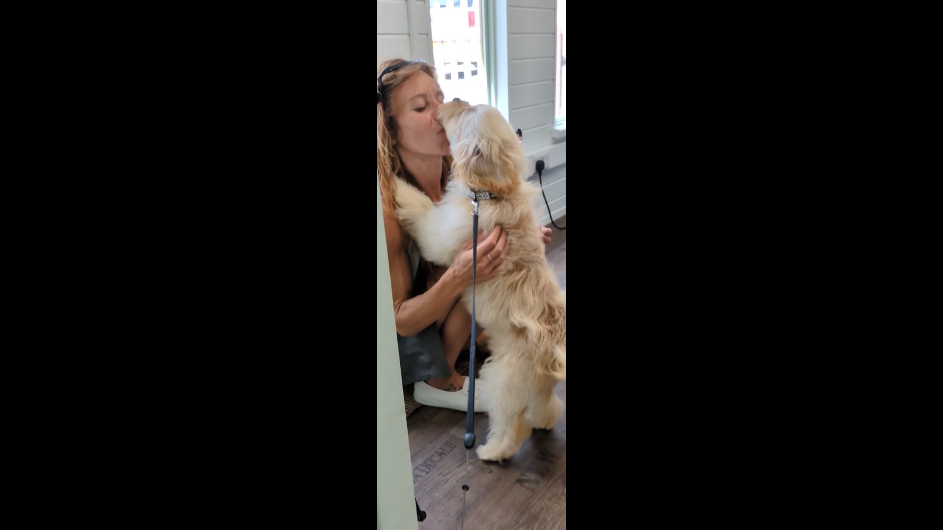 The Dog Spa - Your Premier Pet Spa for Dog Grooming