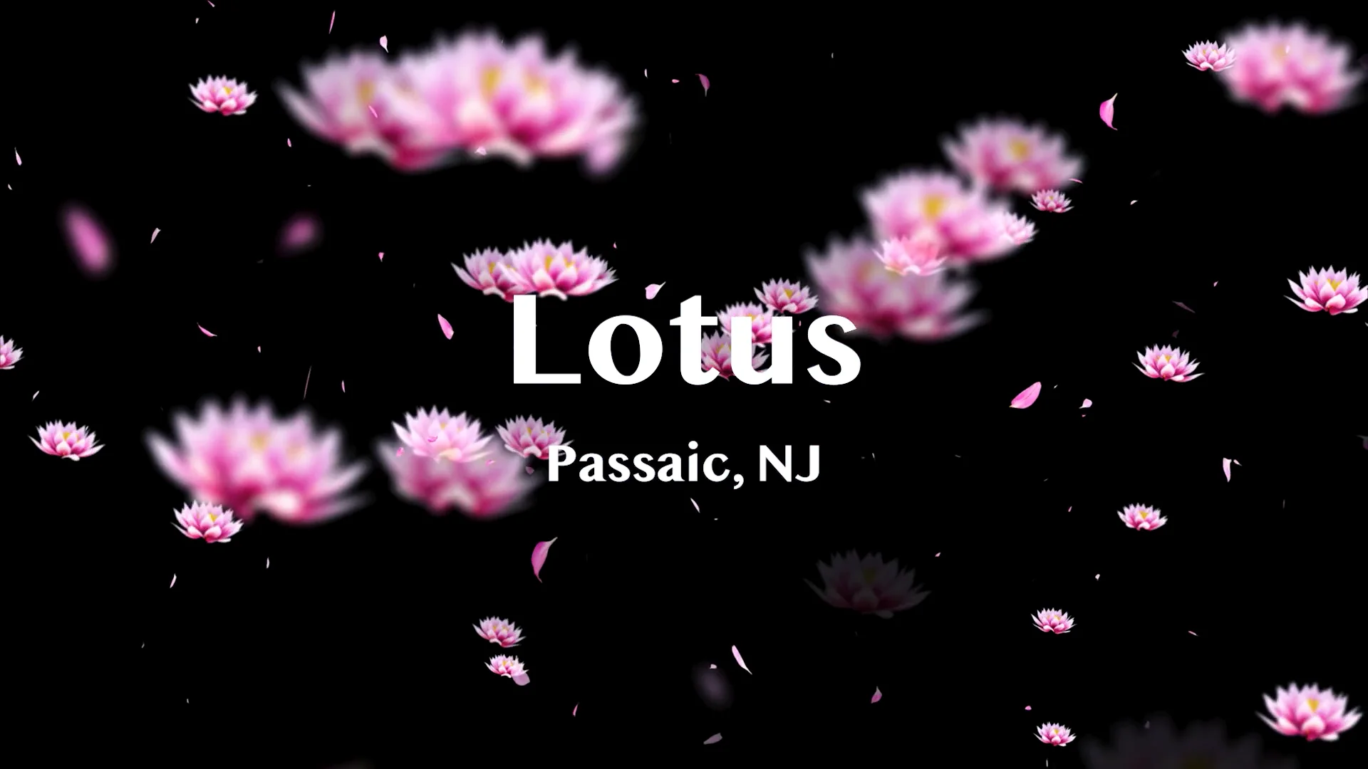Lotus x Camilo
