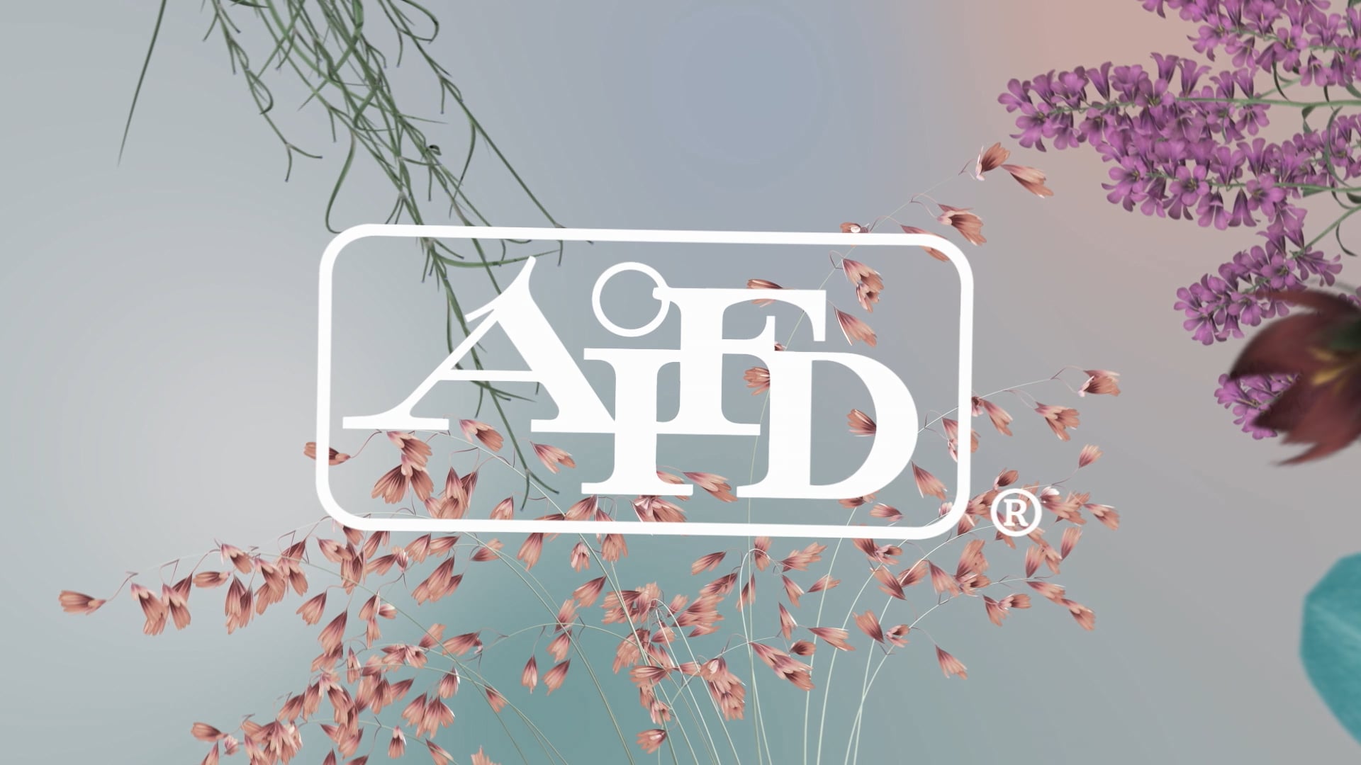 Watch 2024 AIFD Emerge National Symposium Online | Vimeo On Demand on Vimeo