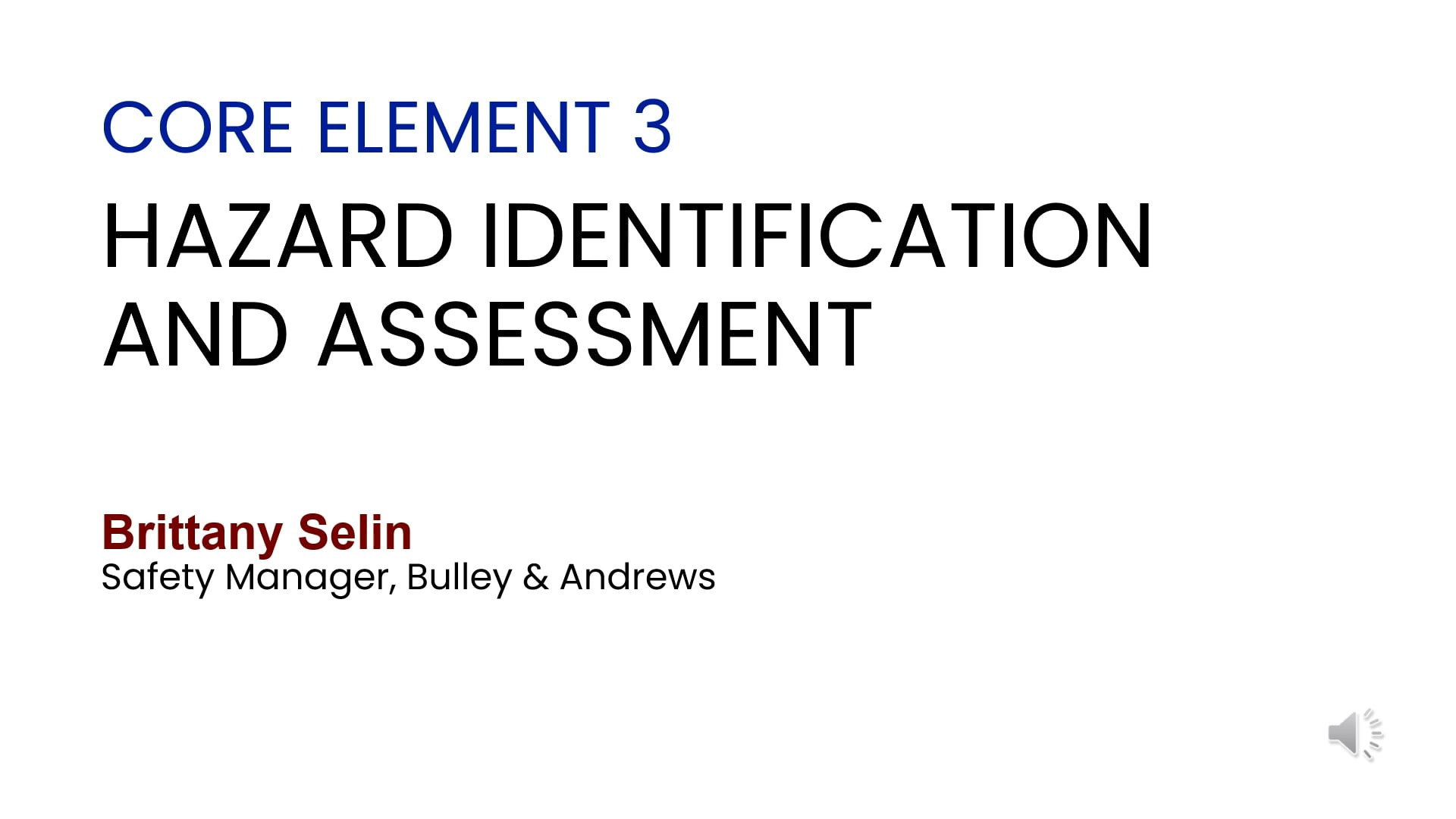 Safety as a Core Element - Element 3