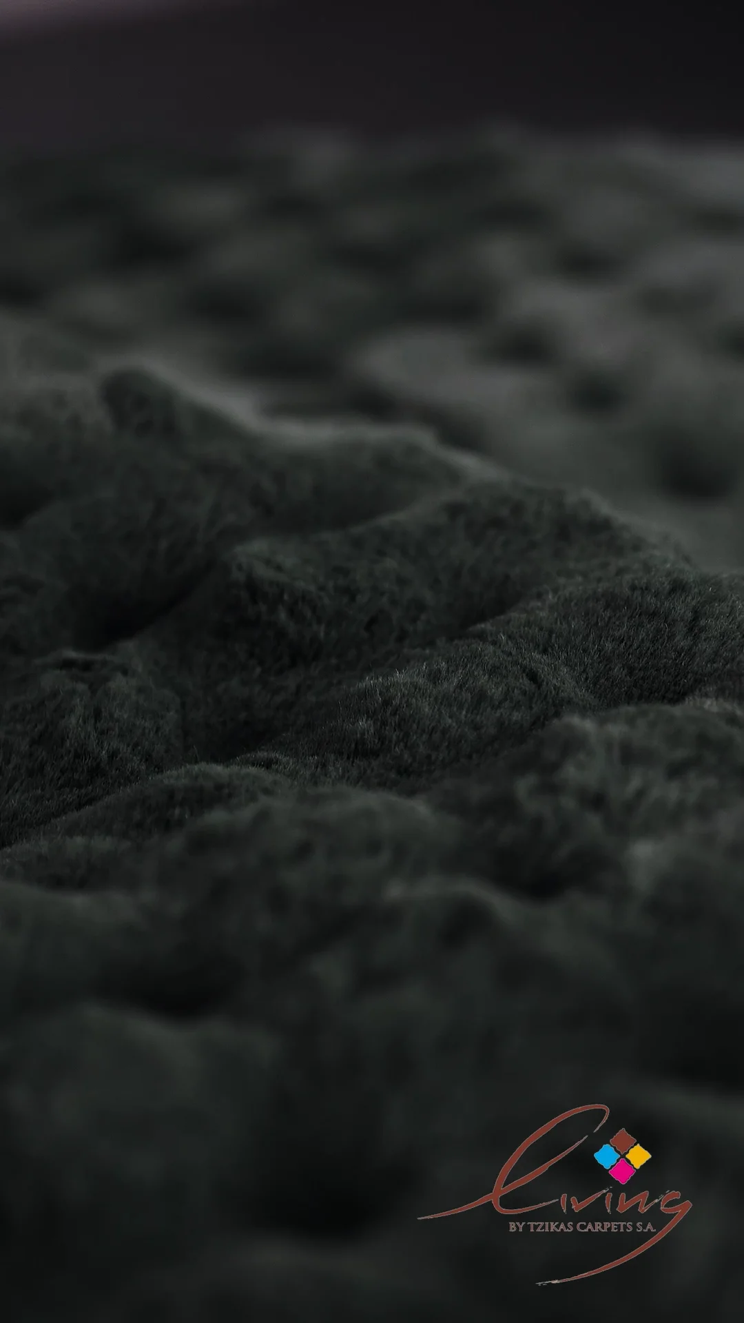 FUZZY 26164-041.movie.mp4