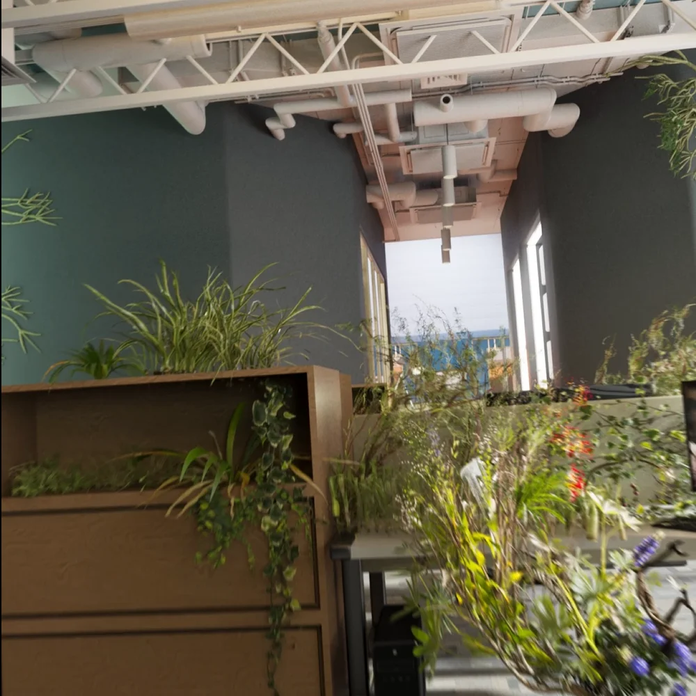 Ripple Office Growth