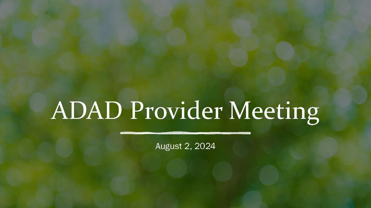 2024-08-02 Provider Meeting