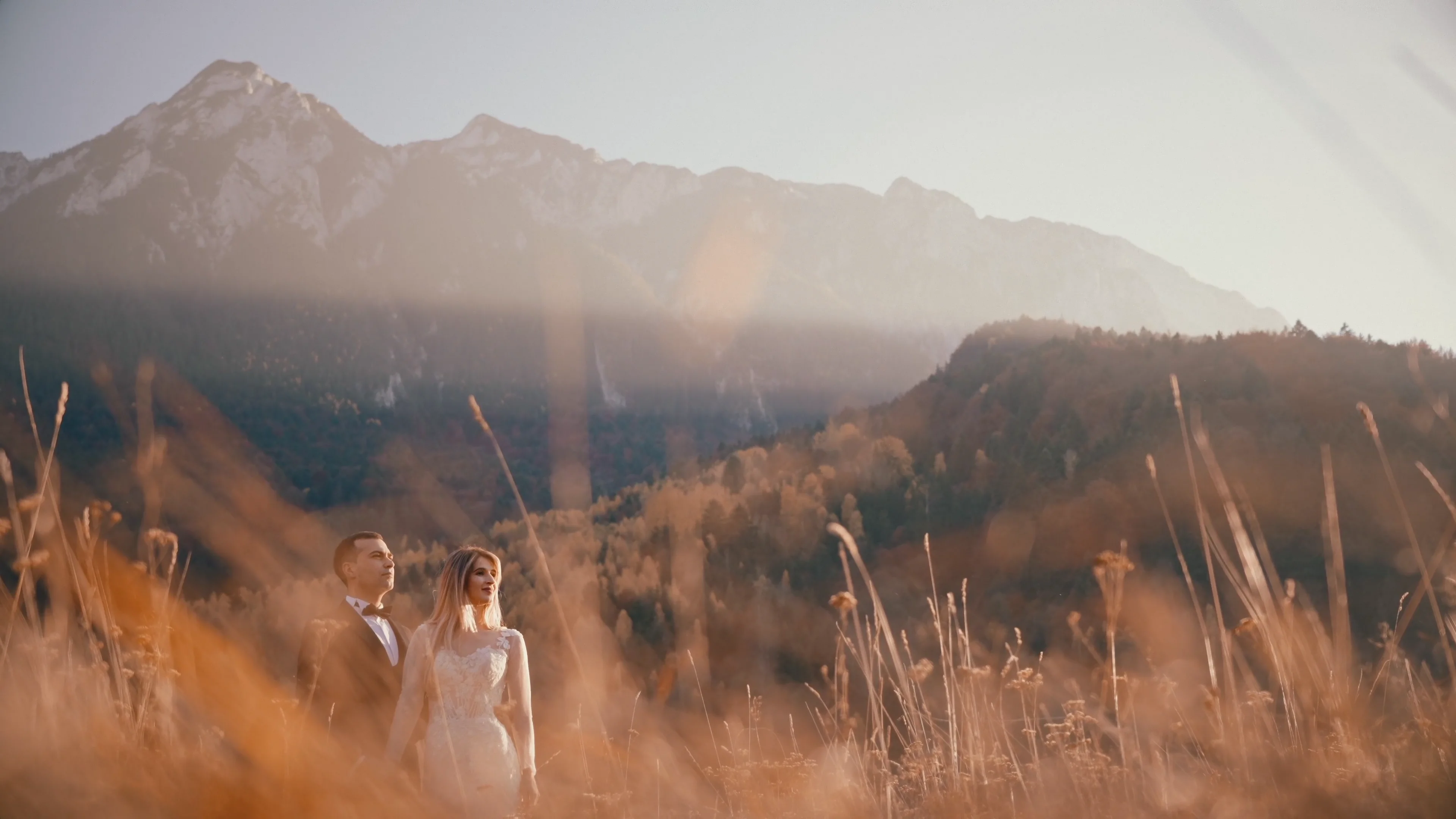 Alexandra & Catalin - Nuntă la Domeniul Dâmbu Morii (4K) on Vimeo