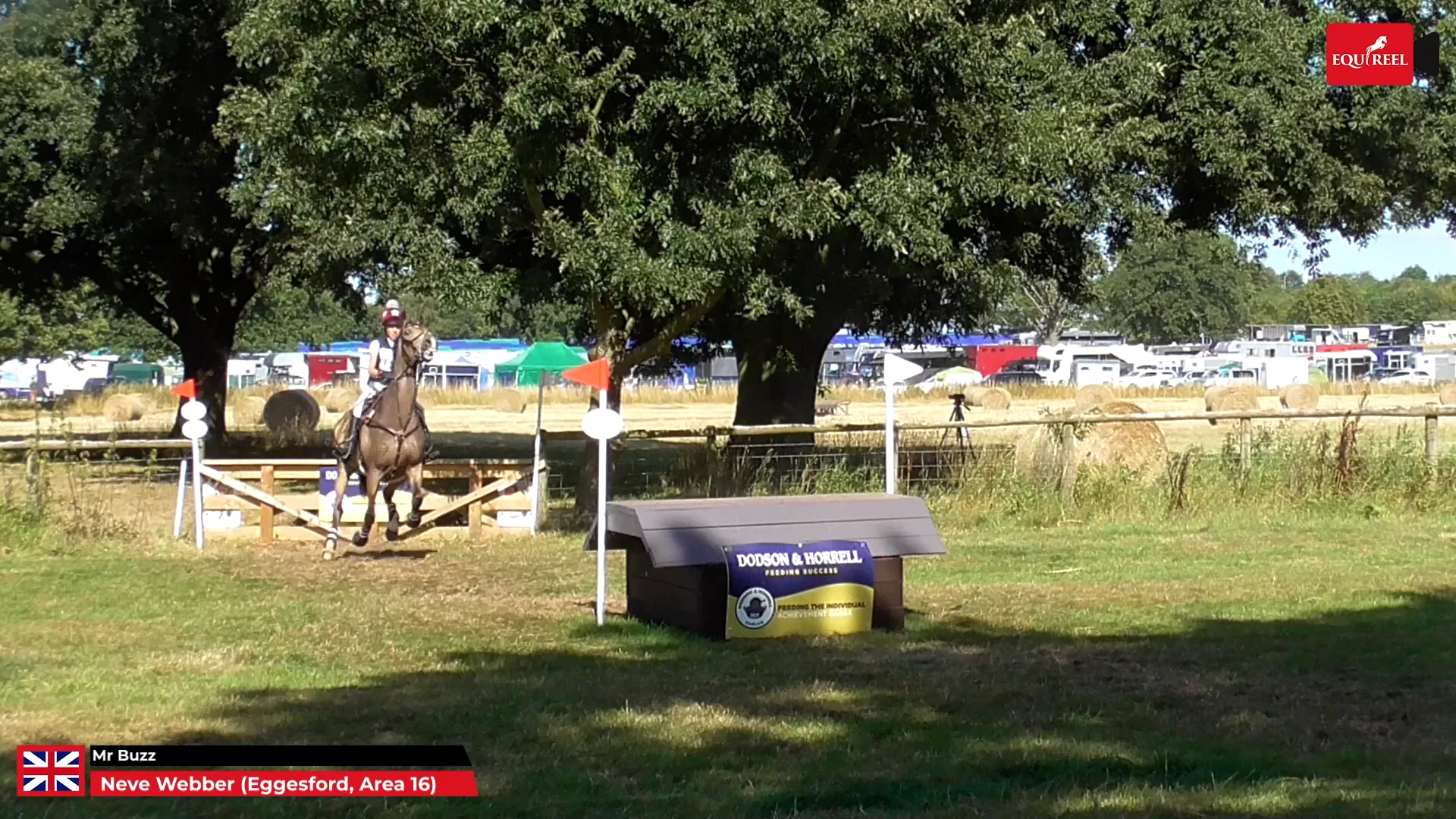 EQUIREEL 148 Neve Webber (Eggesford, Area 16) & Mr Buzz at JCB PONY ...