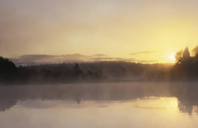 Parallax Effect - Examples on Vimeo