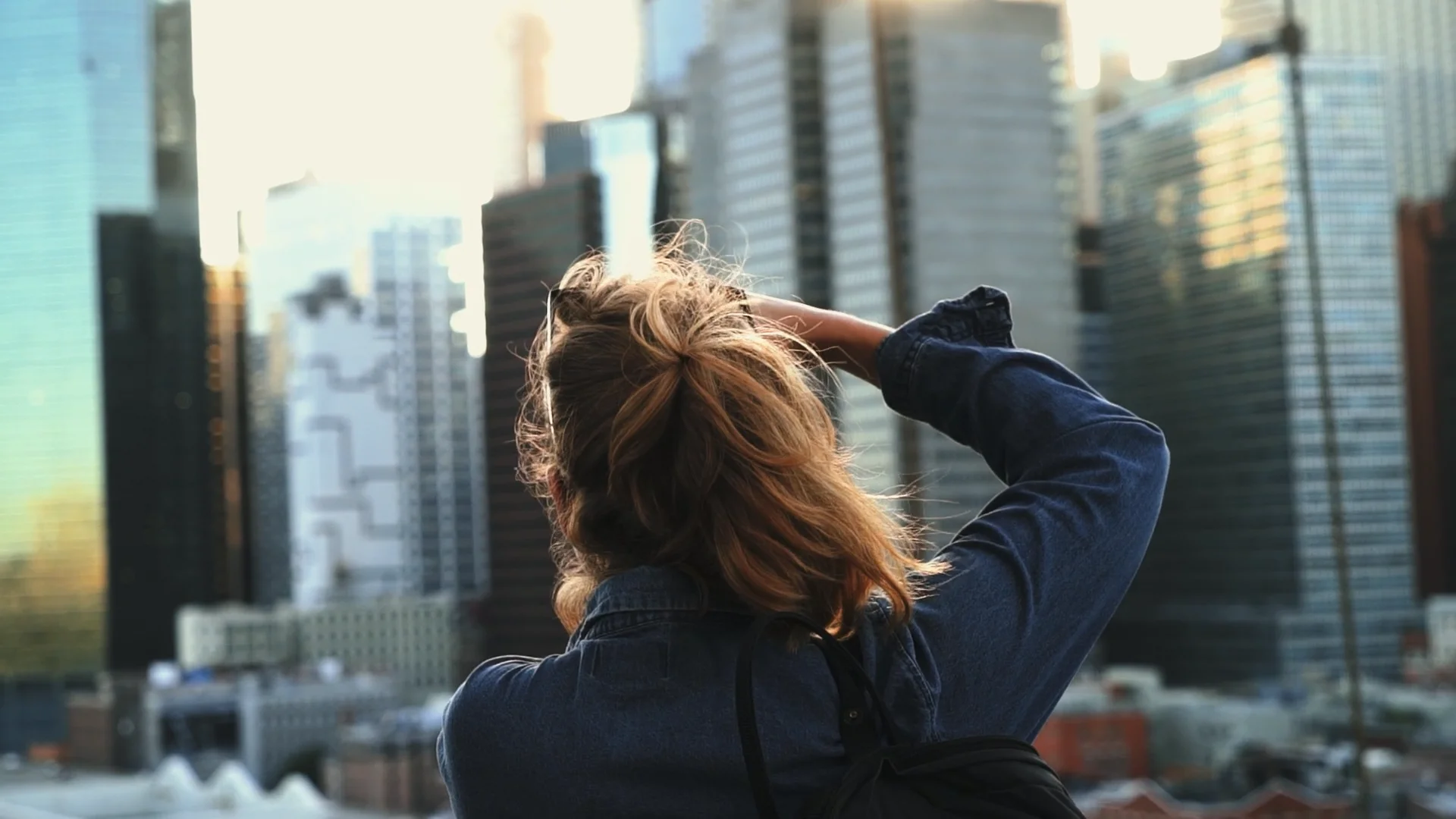 5601807-hd_1920_1080_24fps