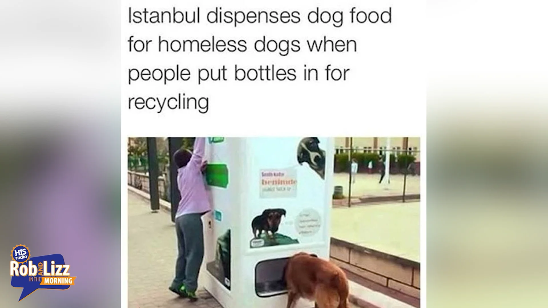 This Vending Machines Helps Homeless Dogs