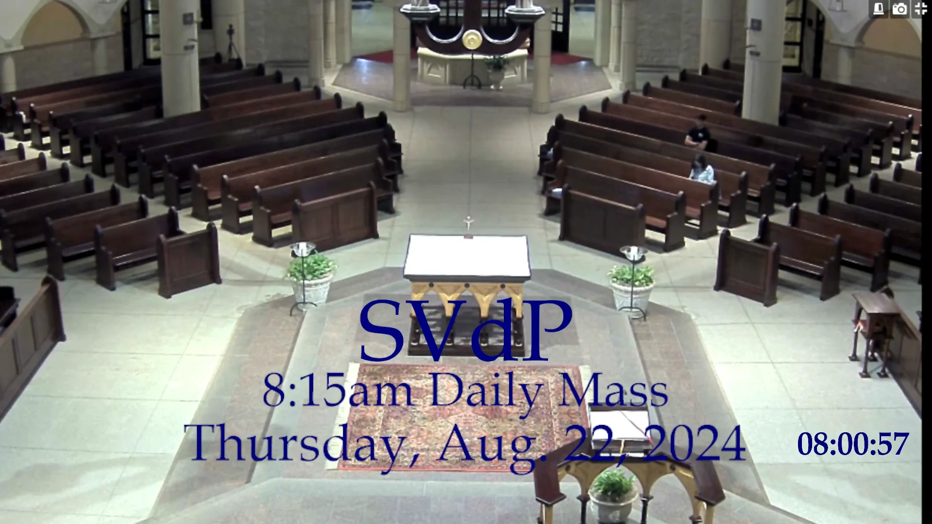 SVdP Daily Mass
