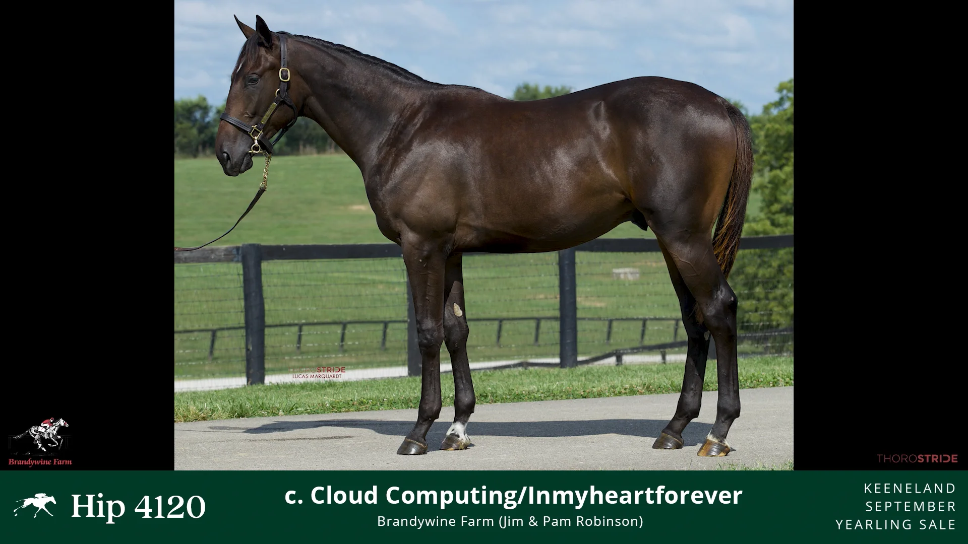 KEESEP24, Hip 4120, c. Cloud Computing - Inmyheartforever 23