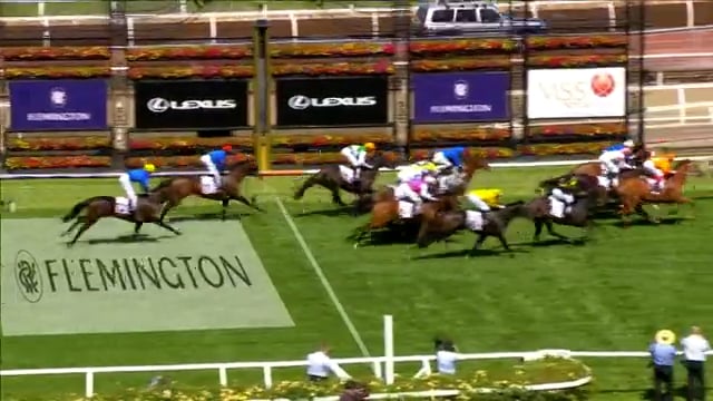 Lightsaber - Stallion | Breednet