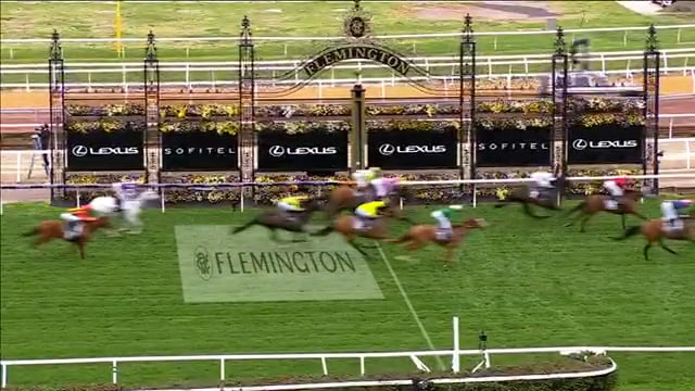 Splintex - Stallion | Breednet