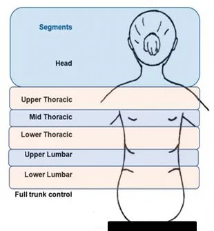 SATCo is not just for children with cerebral palsy welcome to the ...