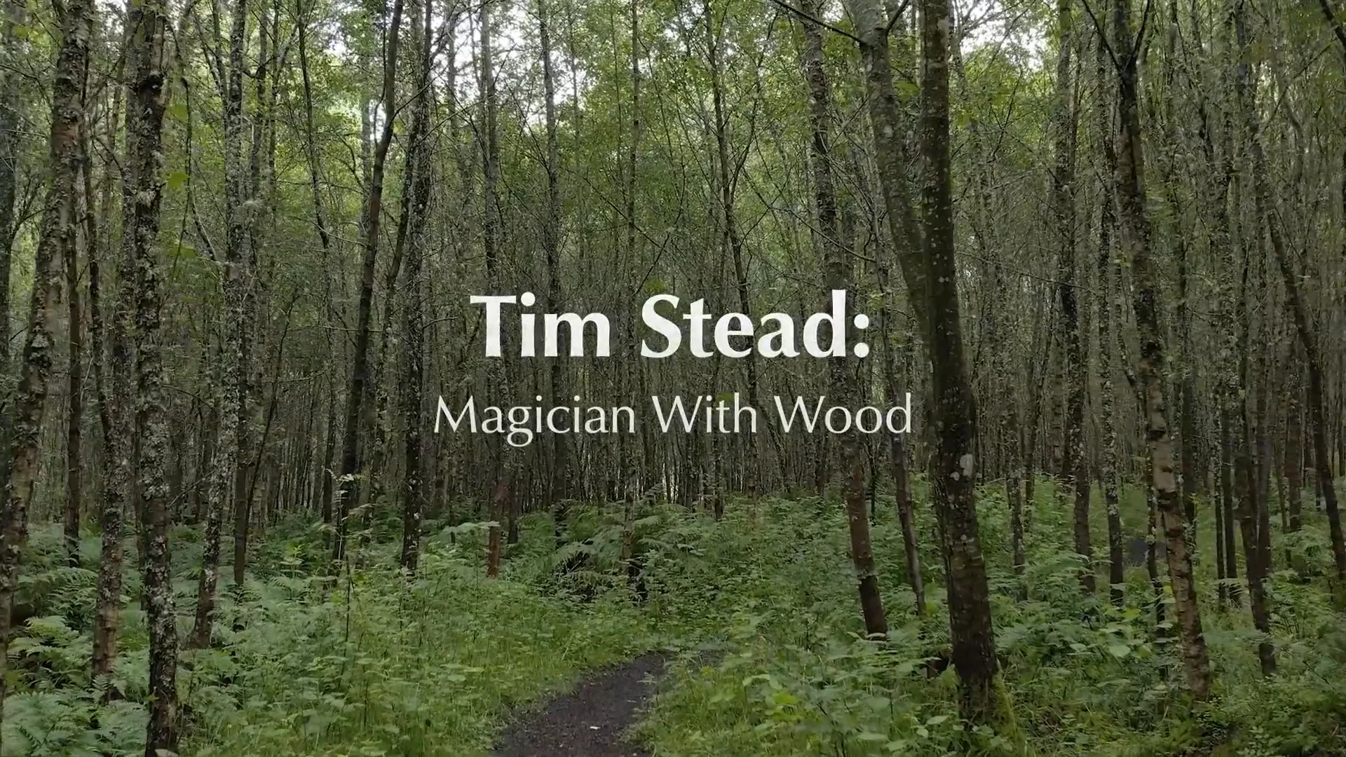 Tim Stead- Magician With Wood trailer.