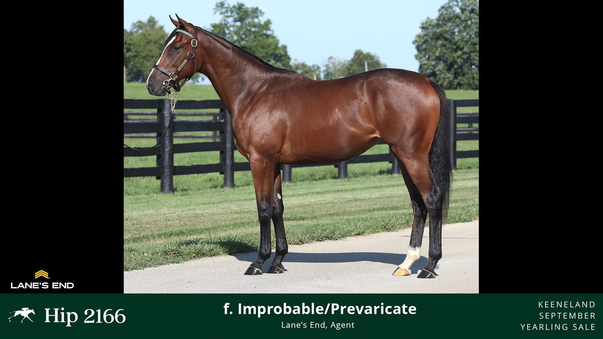 KEESEP24_2166_Prevaricate 23