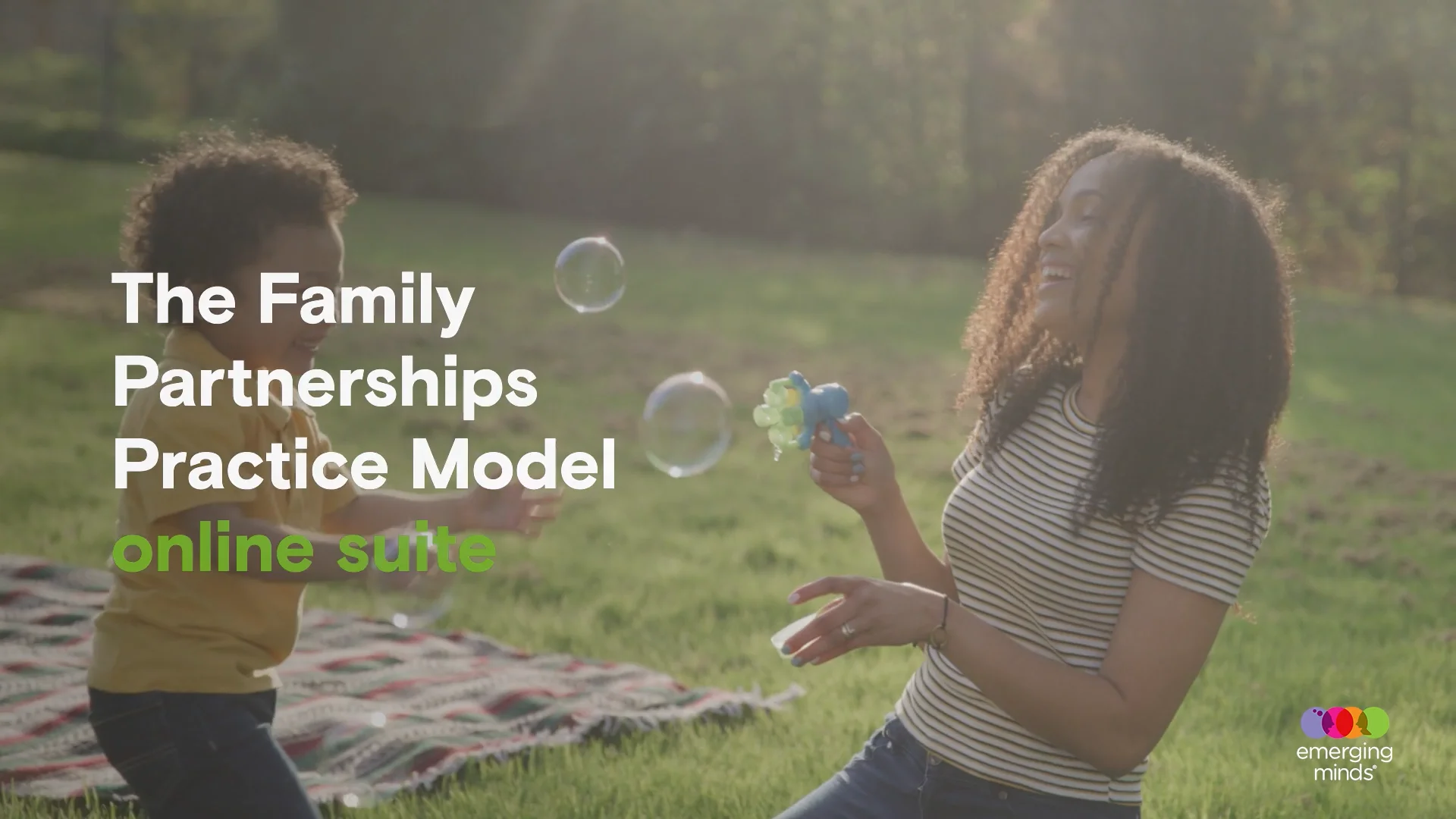 Promo - The Family Partnerships Practice Model online suite